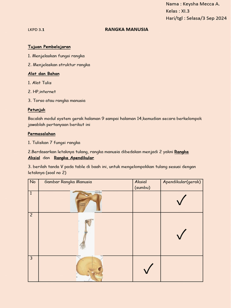 LKPD RANGKA - docx.PDF - PDF 1 | PDF