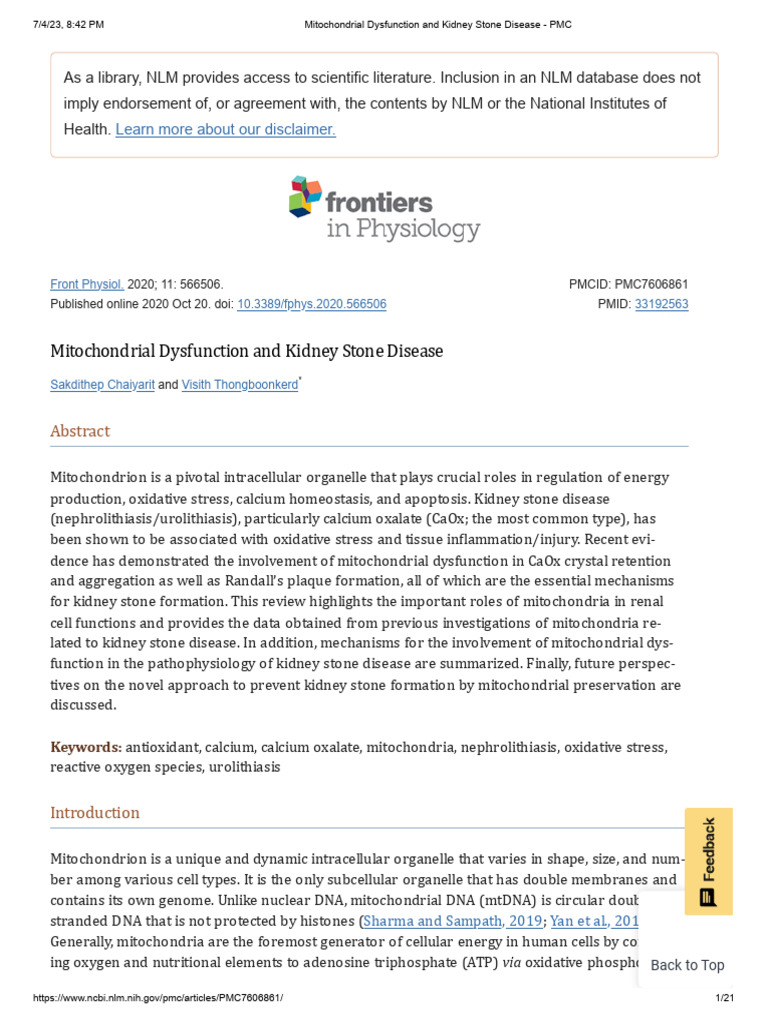 Mitochondrial Dysfunction and Kidney Stone Disease - PMC | PDF