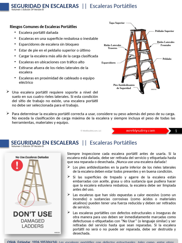 V1 39BM SP Step Ladders | PDF