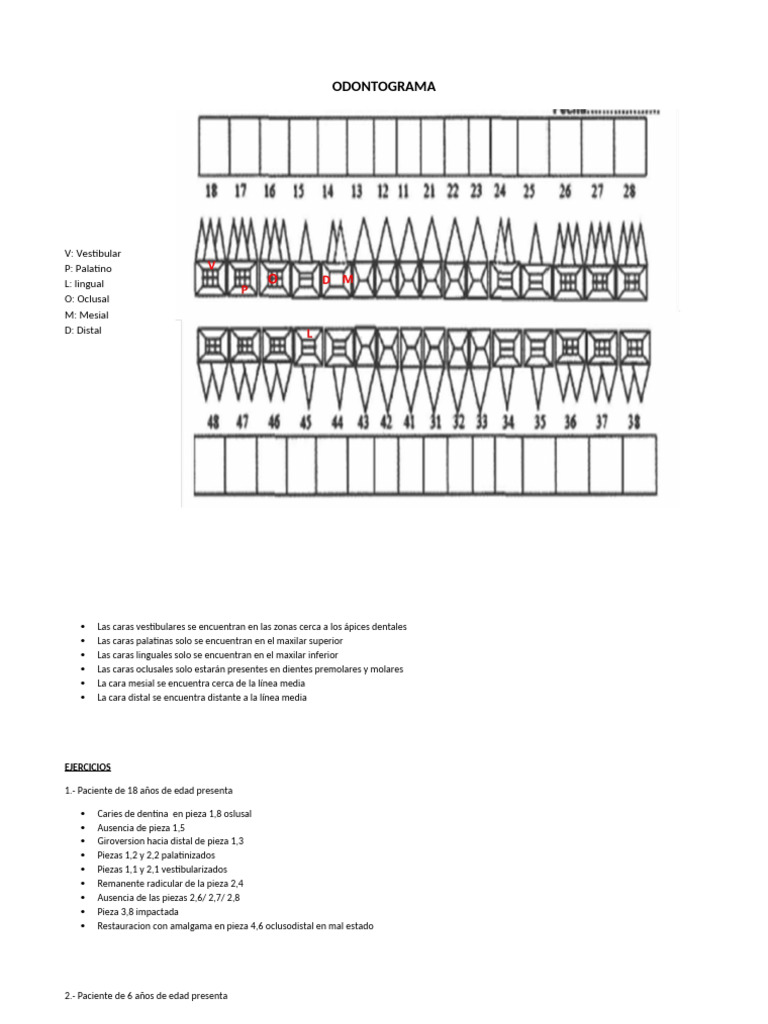 Ejercicio Odontograma Dental | PDF