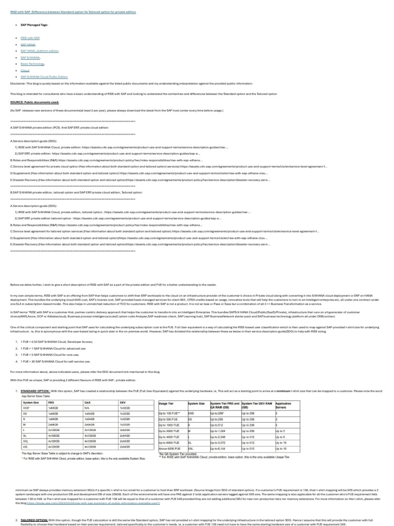 RISE With SAP - Sizing | PDF