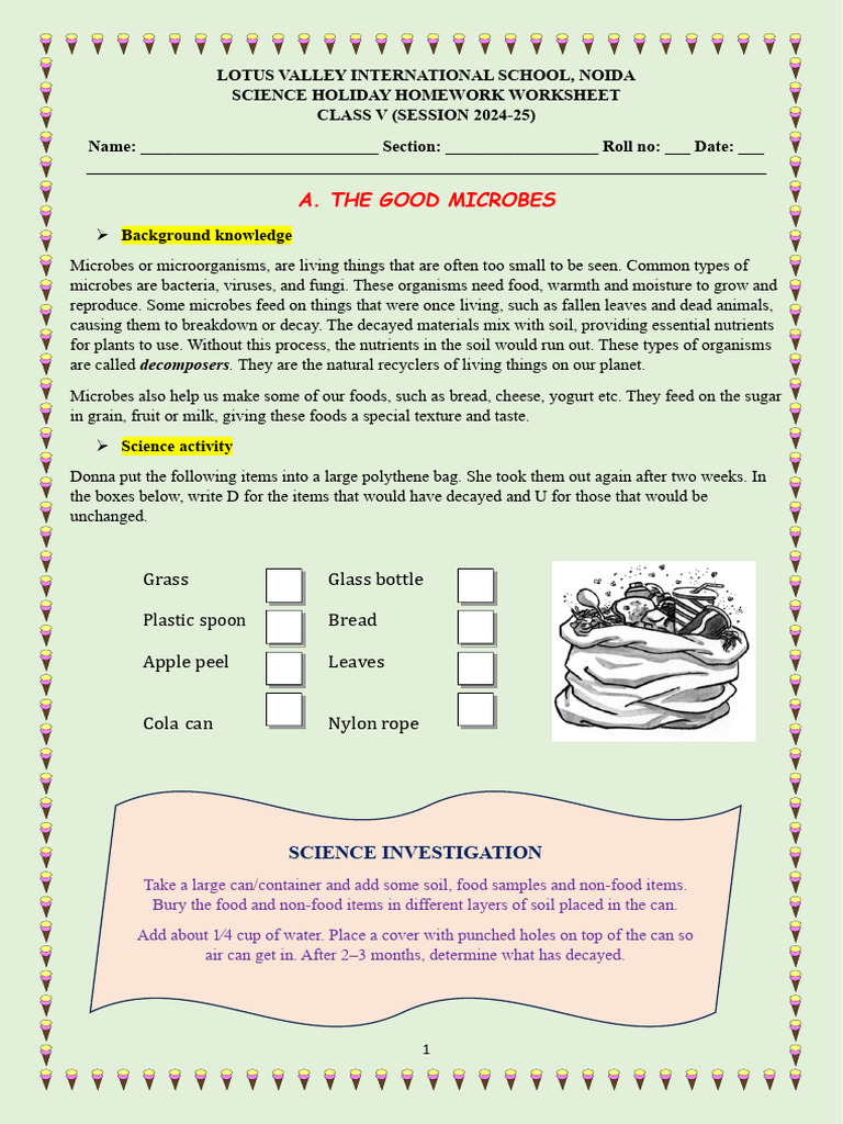 V Science HHW Worksheet 2 | PDF