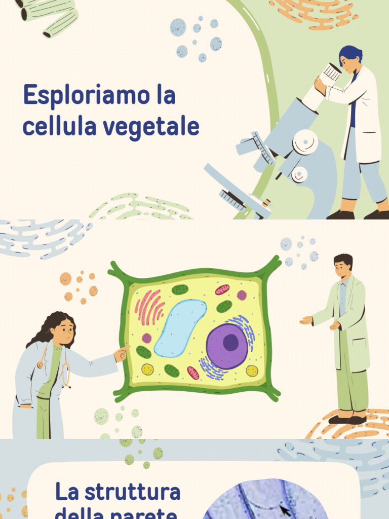 Cellula Vegetale | PDF