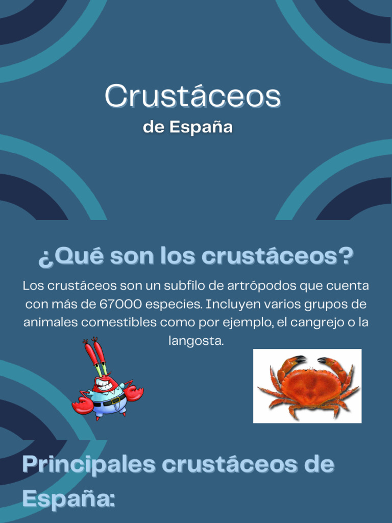 CRUSTÁCEOS | PDF | Artrópodos | Estudios de idiomas extranjeros