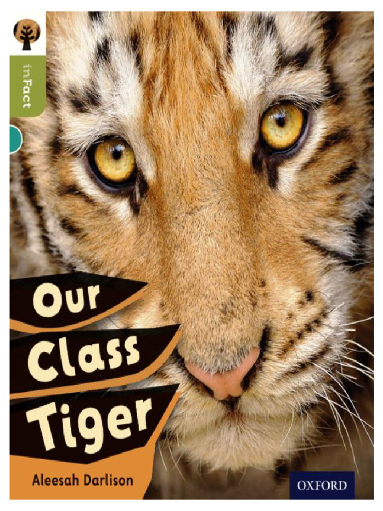 Our Class Tiger | PDF