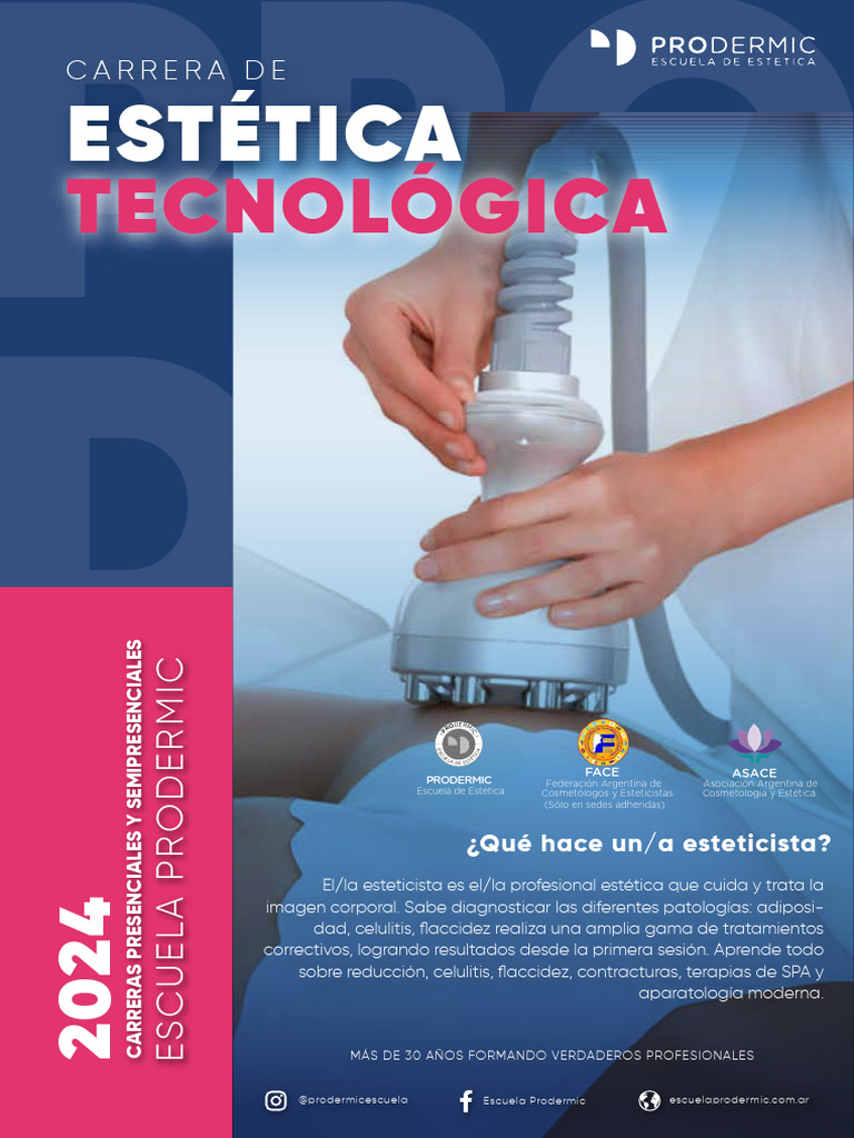 Programa Estetica Tecnologica | PDF