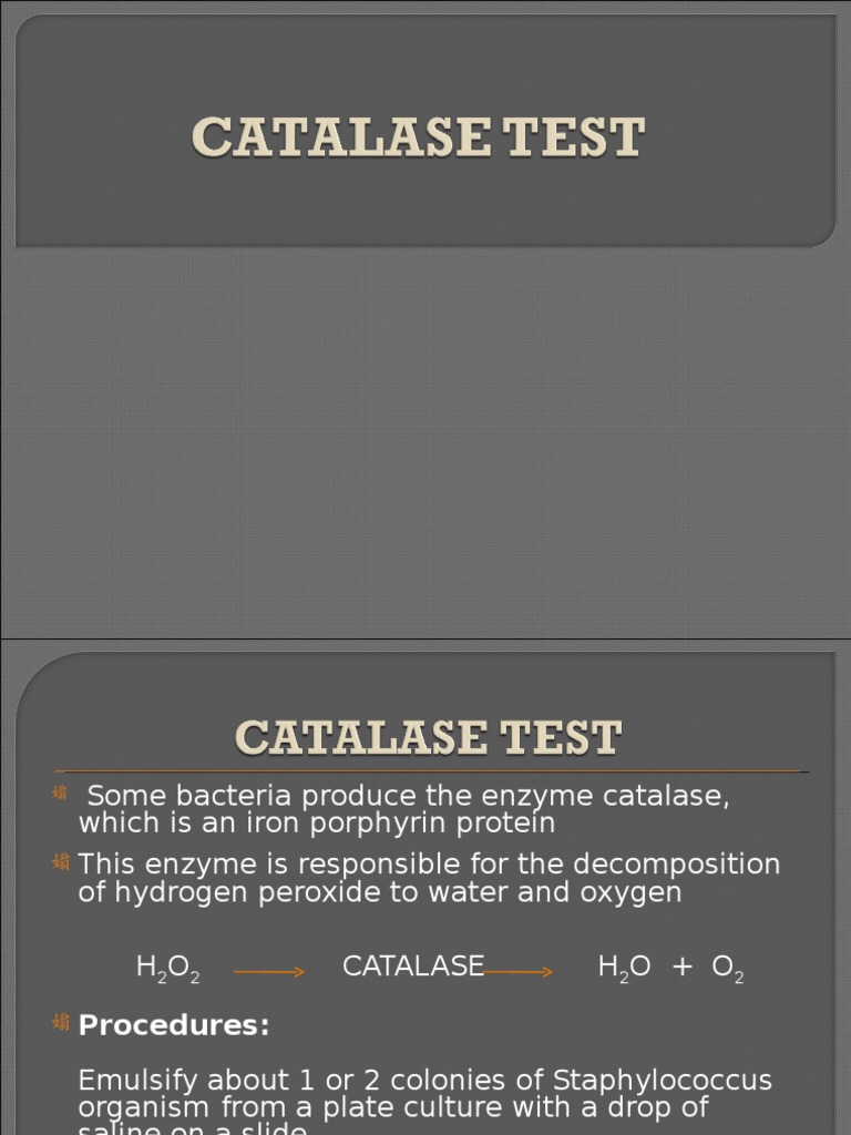 Catalase Test for Bacterial Identification | PDF | Science ...
