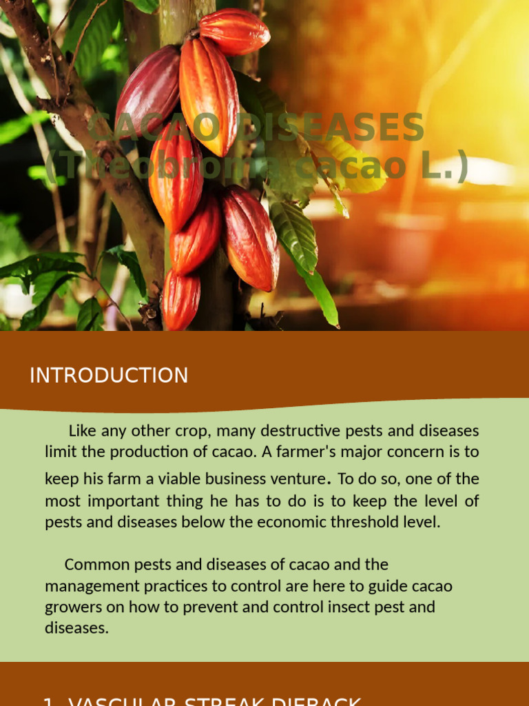 Cacao Diseases | PDF