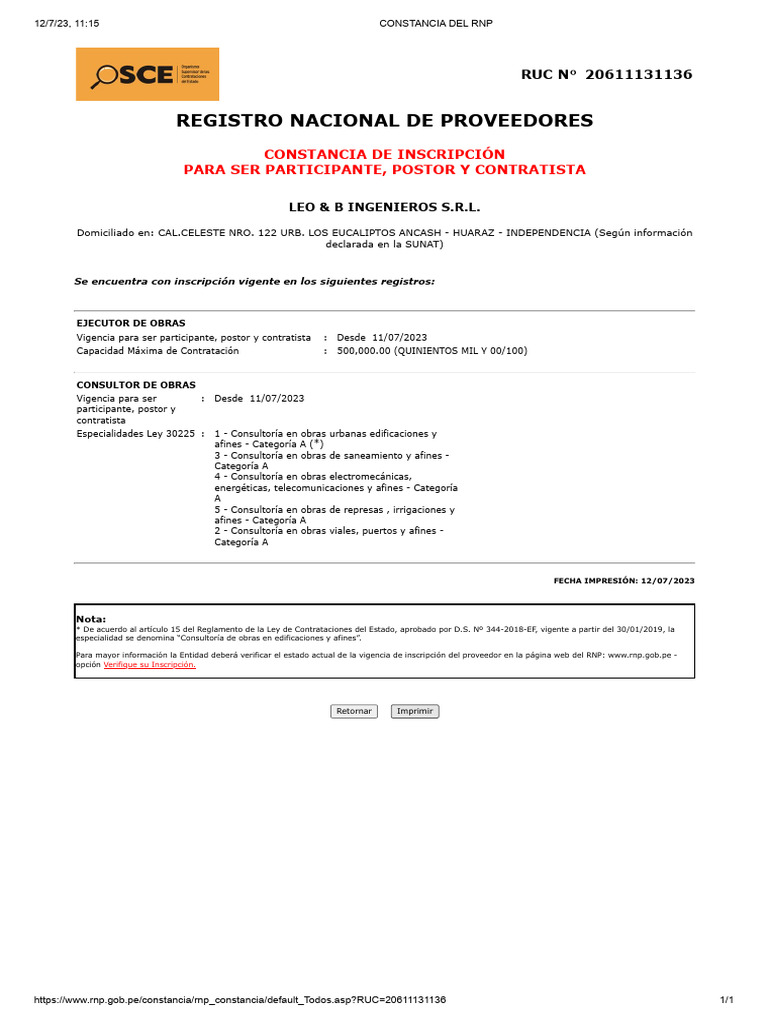 Constancia Del RNP Leo | PDF