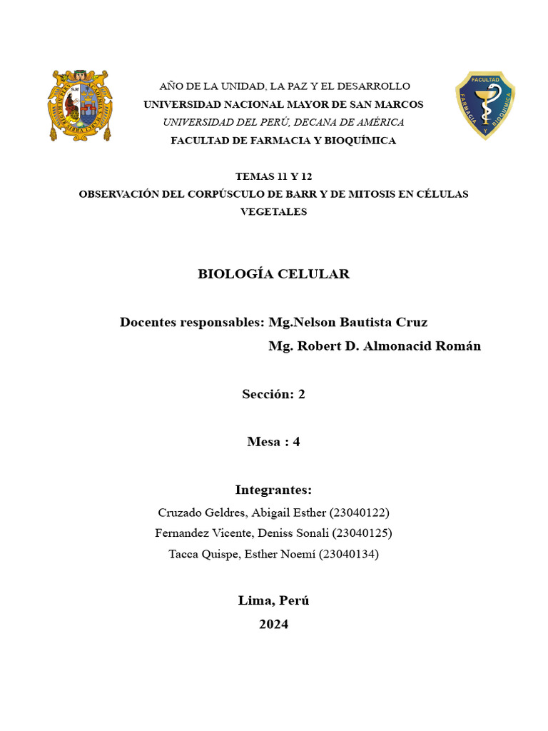 BIOCEL - INFORME 11 Y 12 - Documentos de Google | PDF