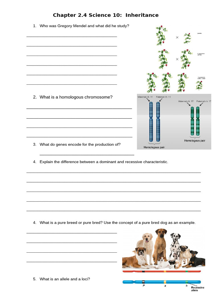 Chapter 2.4 Part 1 Inheritance | PDF