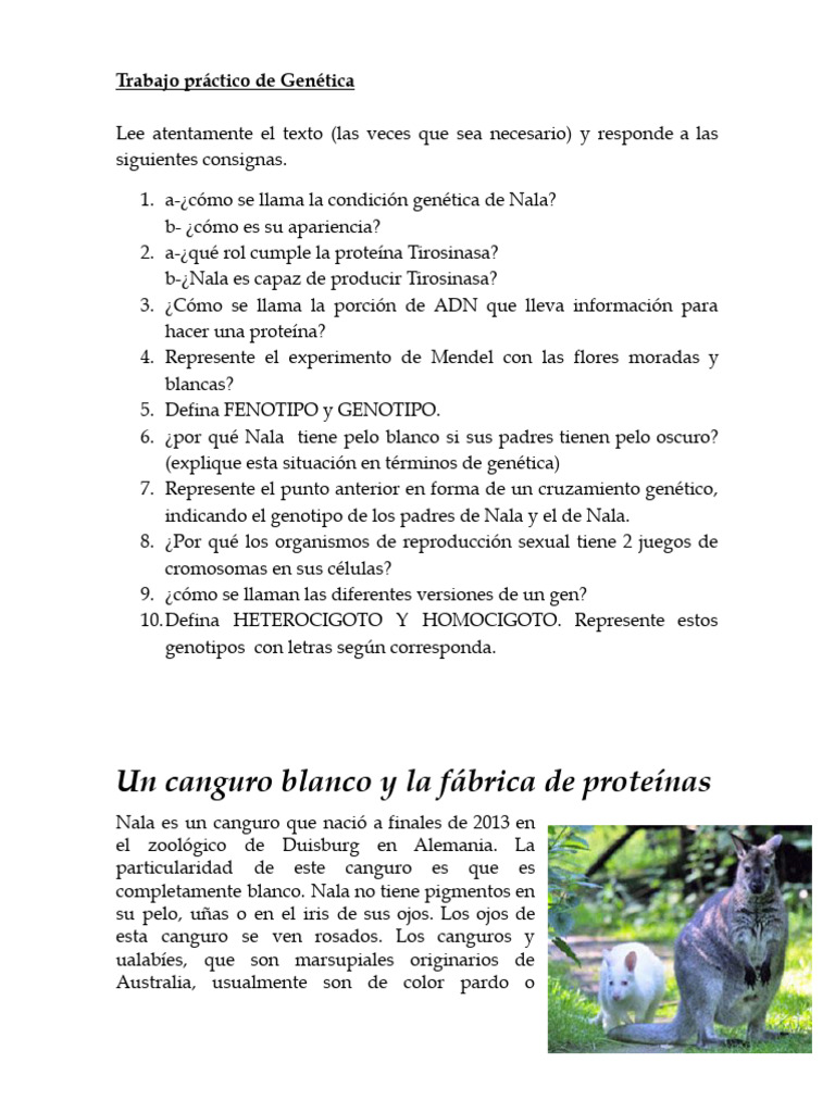 Trabajo Practico Nala | PDF