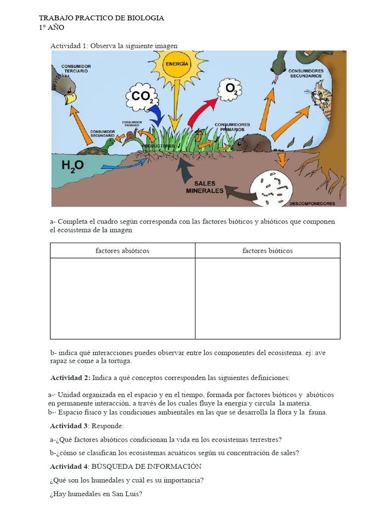 TRABAJO PRACTICO DE BIOLOGIA | PDF