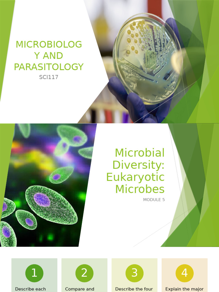 Microbiology and Parasitology Module 5 | PDF Microbiology and Parasitology Module 5 | PDF