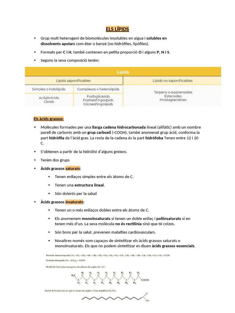Temari Bio (Lípds, Porteïnes I Acids Nucleics) | PDF