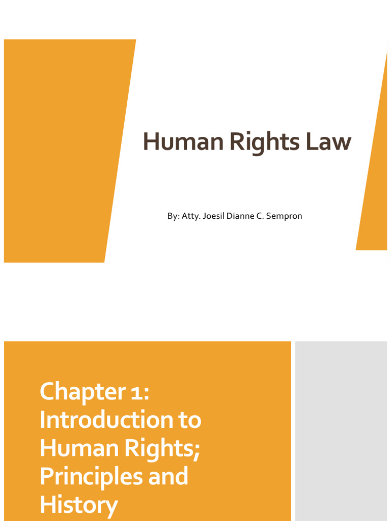 Overview of Human Rights Law | PDF | Government | Politics