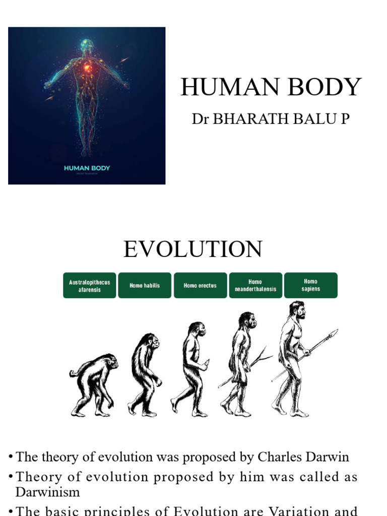 Human Body | PDF | Mind | Indian Philosophy