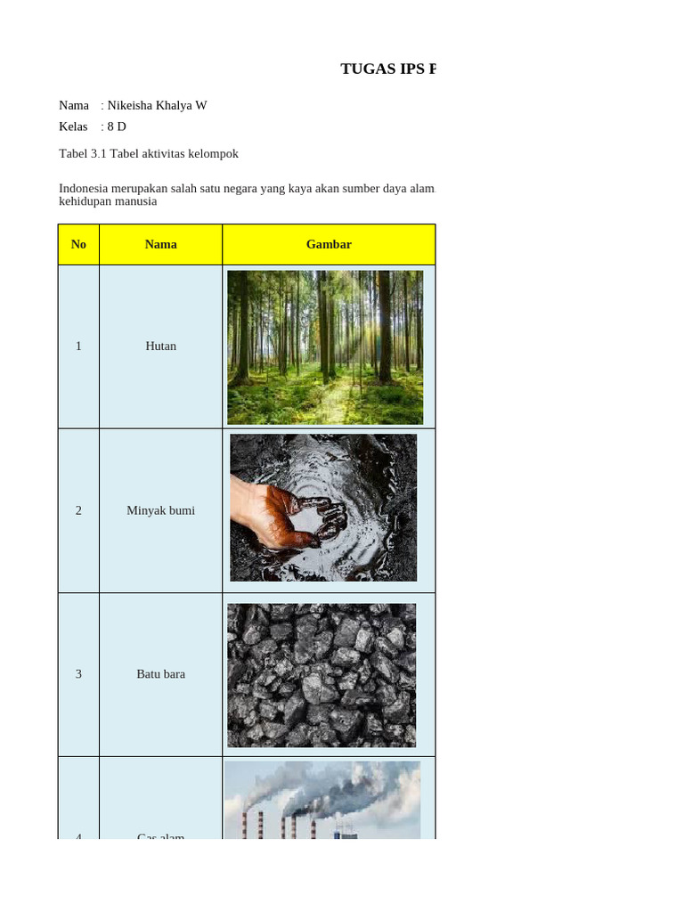 Tugas IPS - Tabel SDA Indonesia | PDF