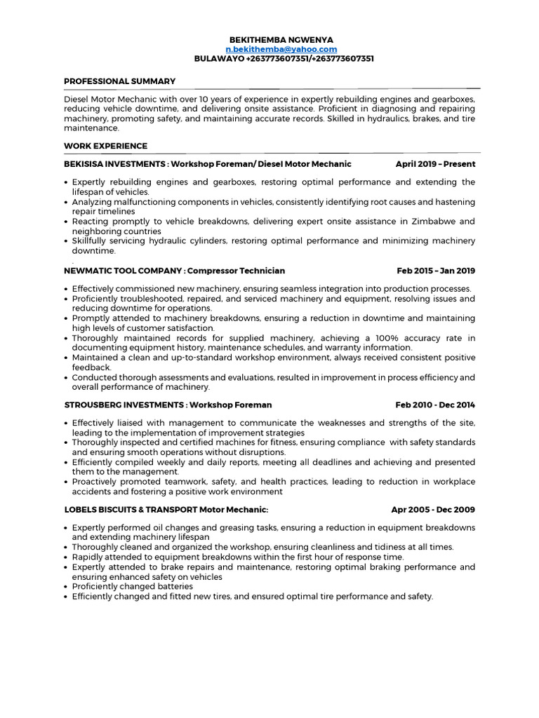 Bekithemba 123630 | PDF