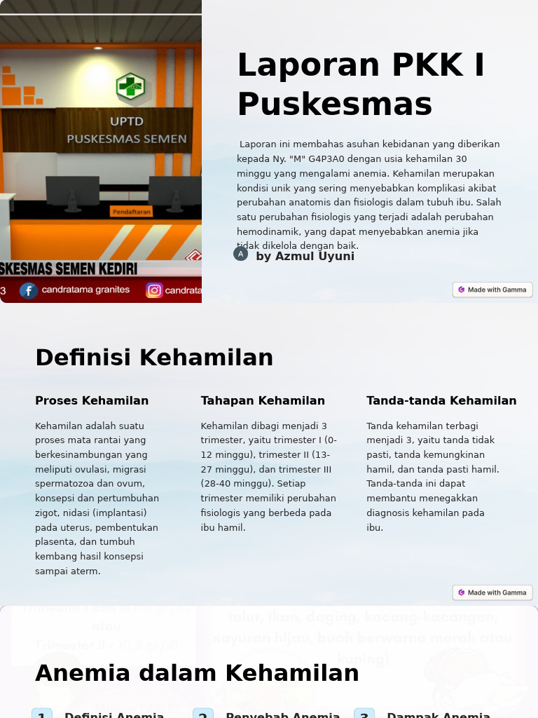 Laporan-PKK-I-Puskesmas | PDF