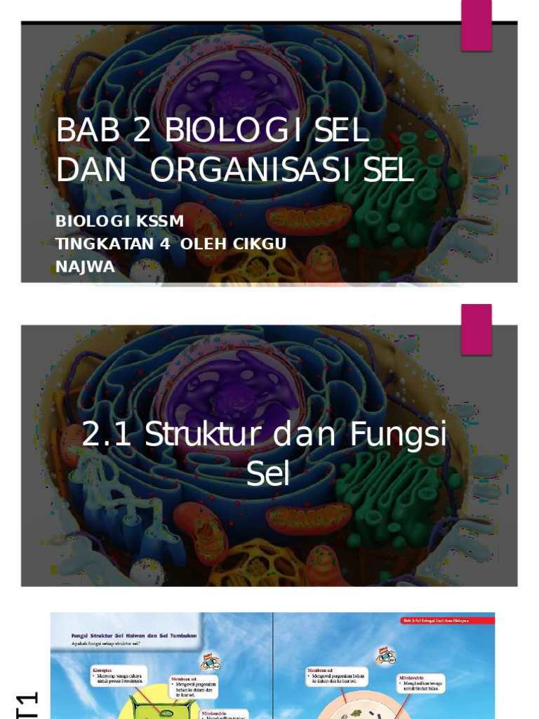 BIO T4 KSSM BAB 2 Biologi Sel Dan Organisasi | PDF