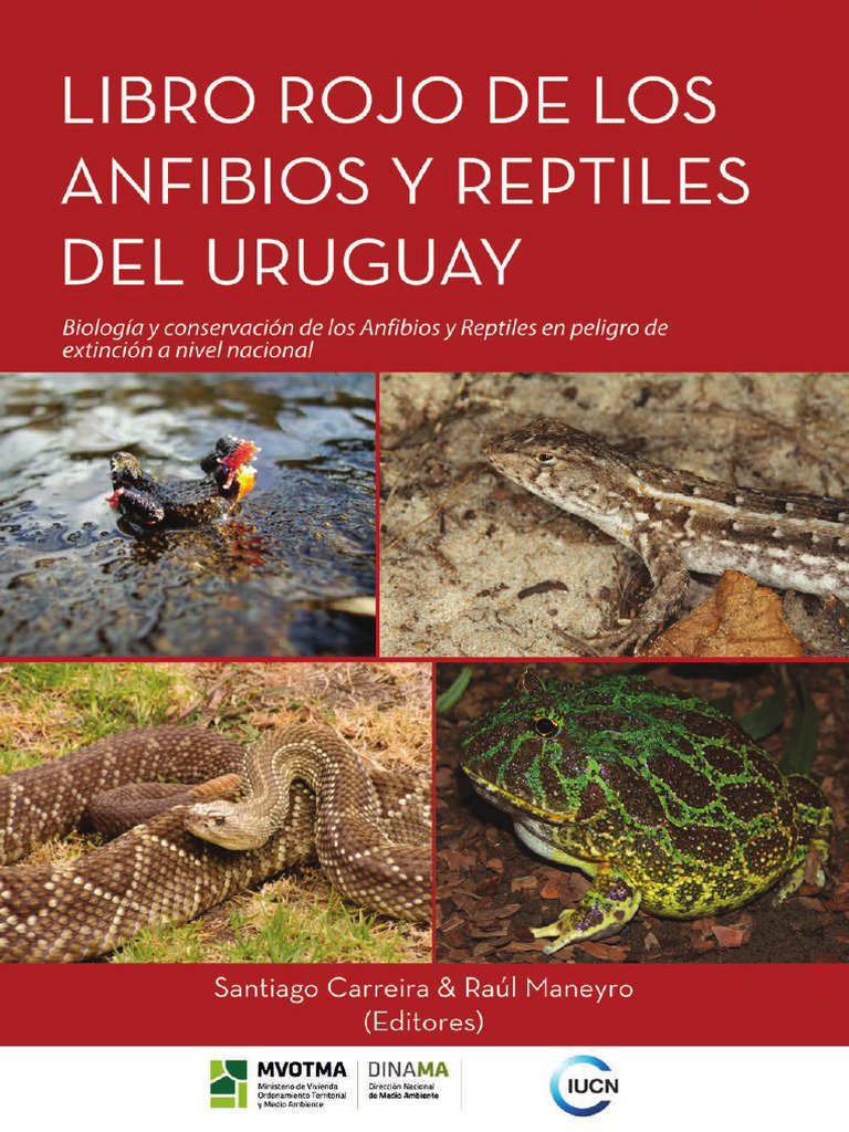 Libro Rojo de Los Anfibios y Reptiles de | PDF