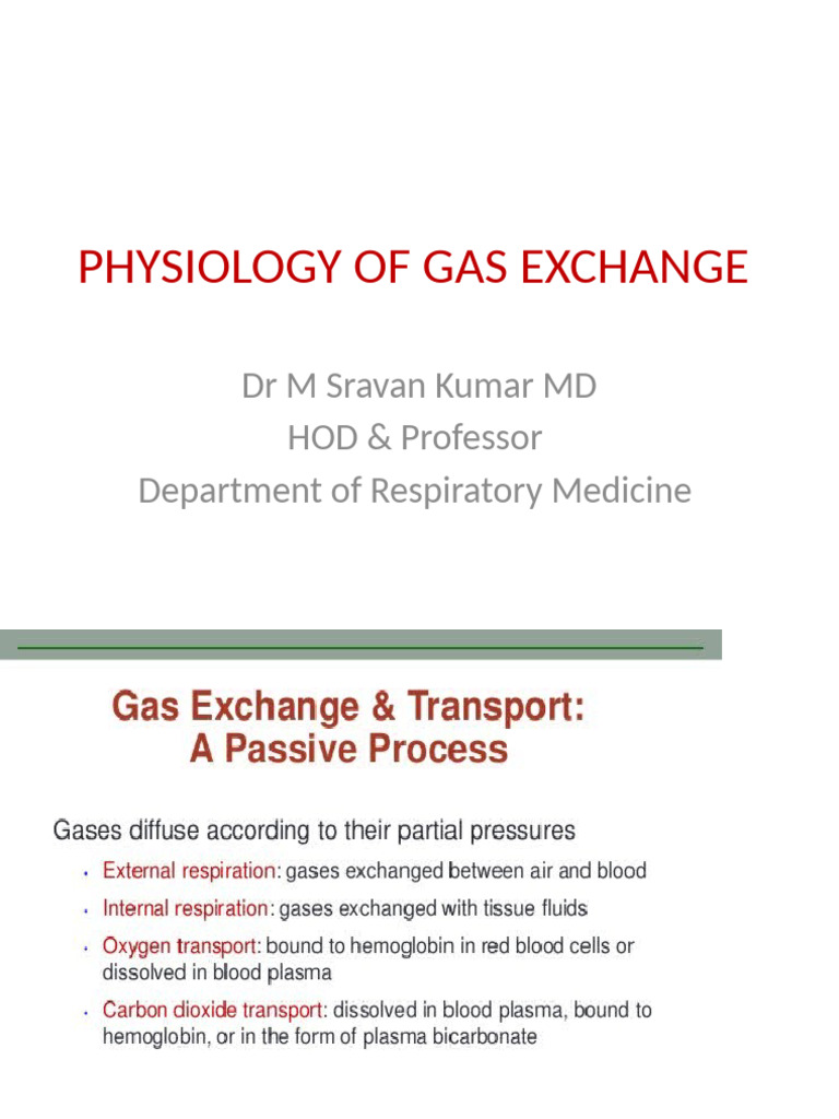 Physiology of Gas Exchange | PDF
