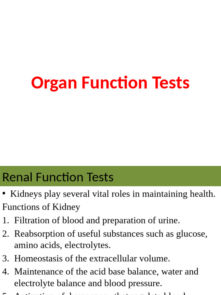 Organ Function Tests | PDF