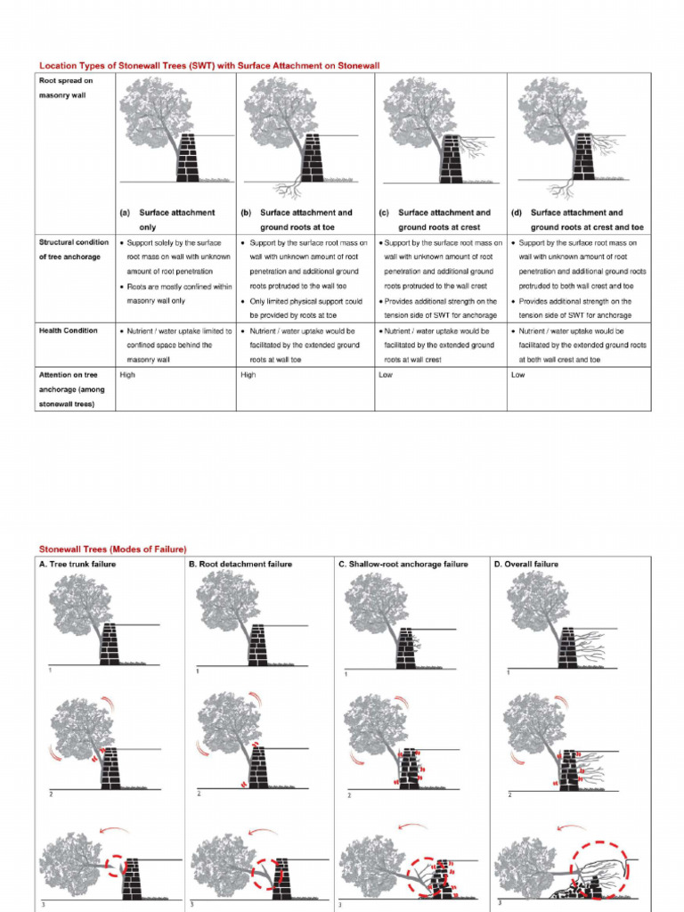 Stonewall Trees (SWT) | PDF