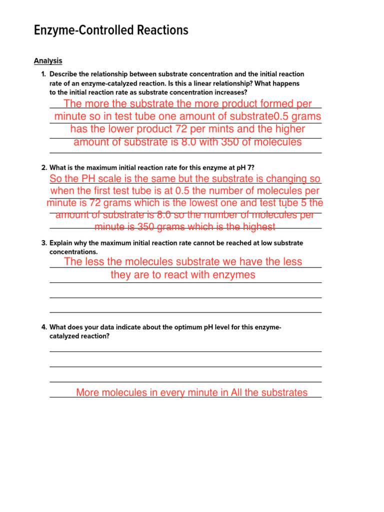 Virtual Investigation - Enzyme Controlled Reactions Worksheet | PDF