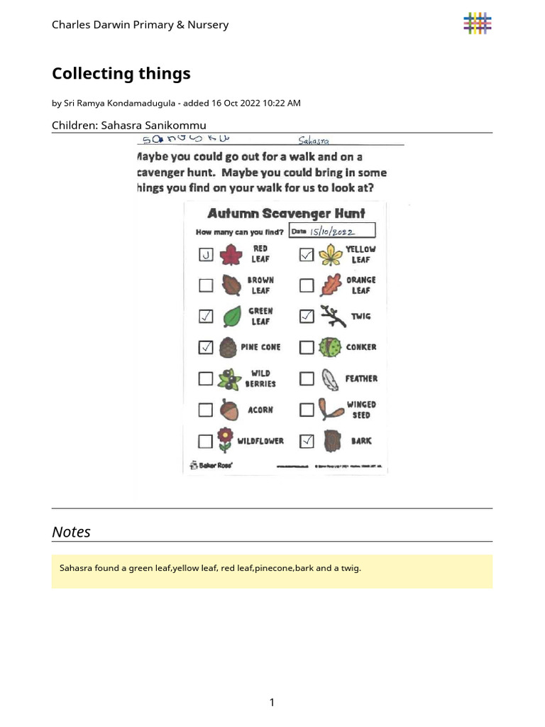 Collecting Things | PDF
