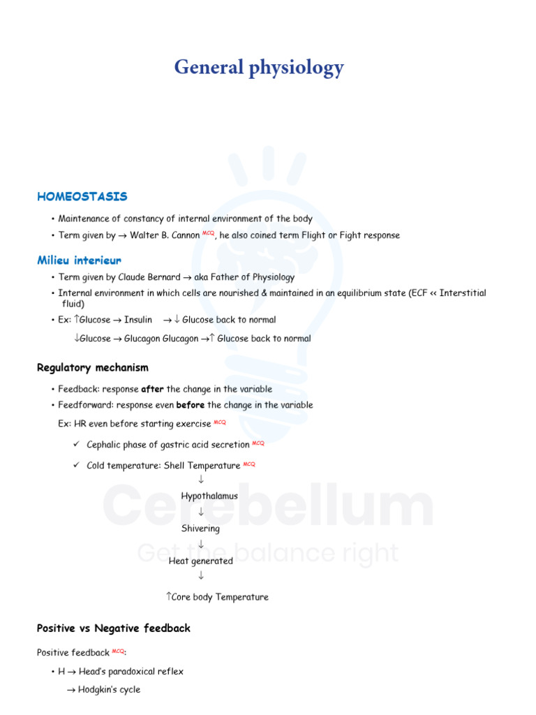 Cerebellum Physio | PDF
