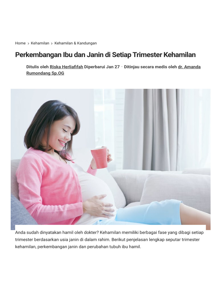 Perkembangan Trimester Kehamilan Pertama, Kedua, Dan Ketiga | PDF