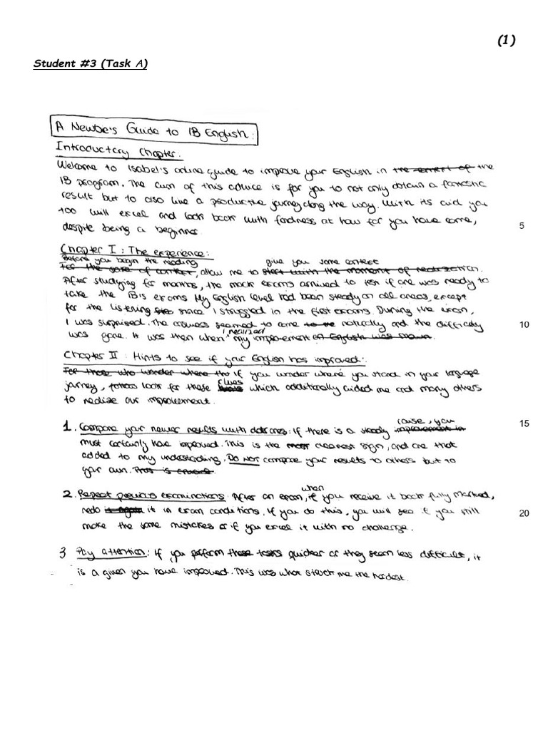 IB English B Writing Sample 2 | PDF