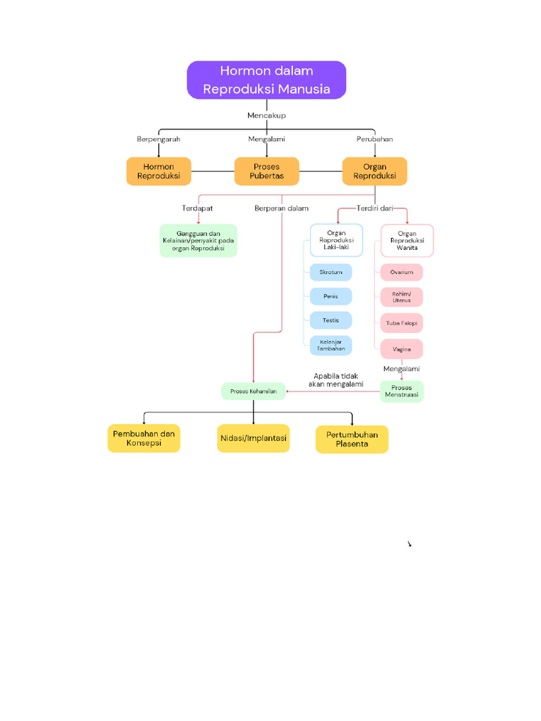 Biologi Materi Reproduksi Manusia, Klompok 6 | PDF
