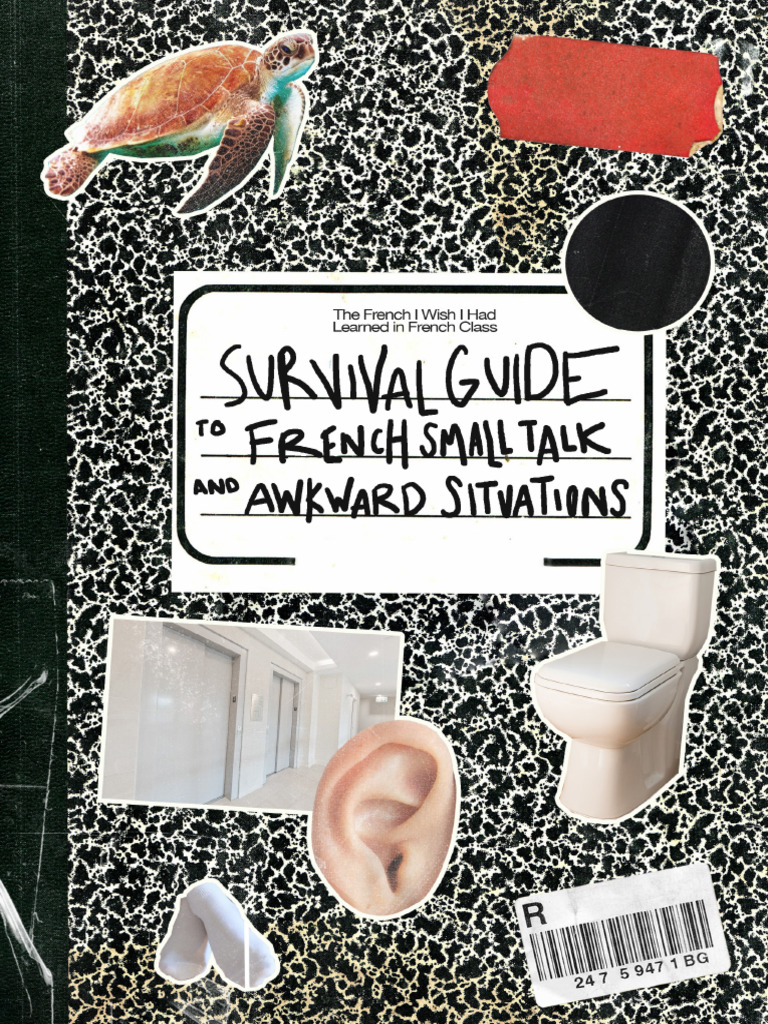 Survival Guide to French Small Talk & Awkward Situations | PDF