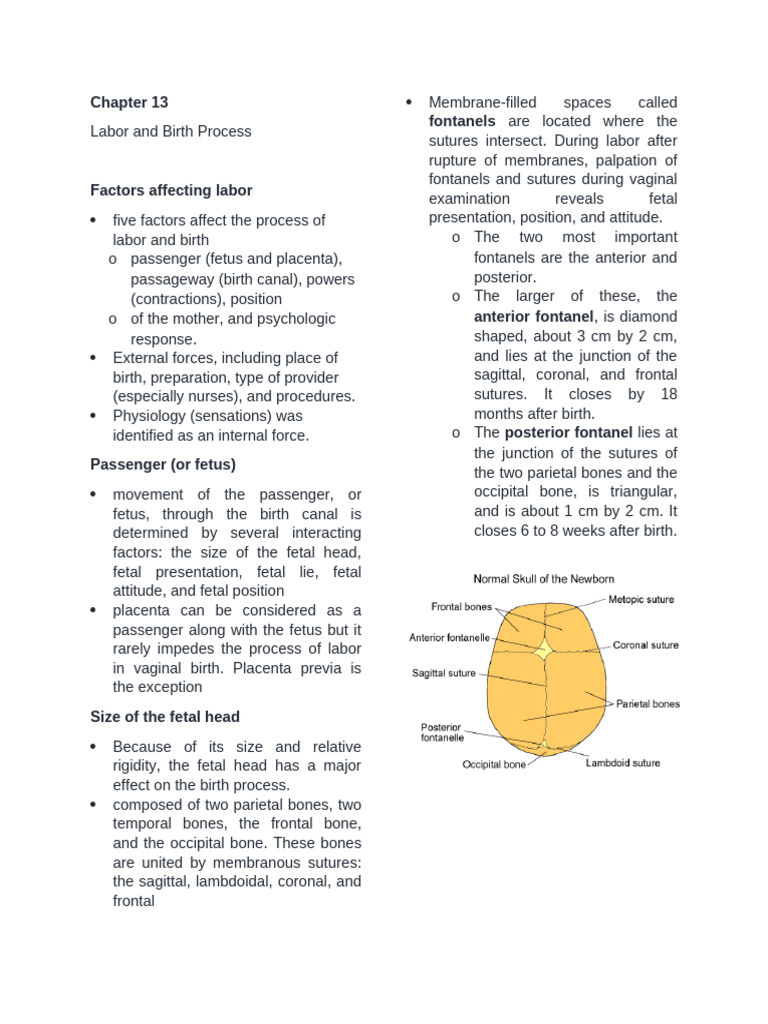 Chapter 13 Study Guide | PDF