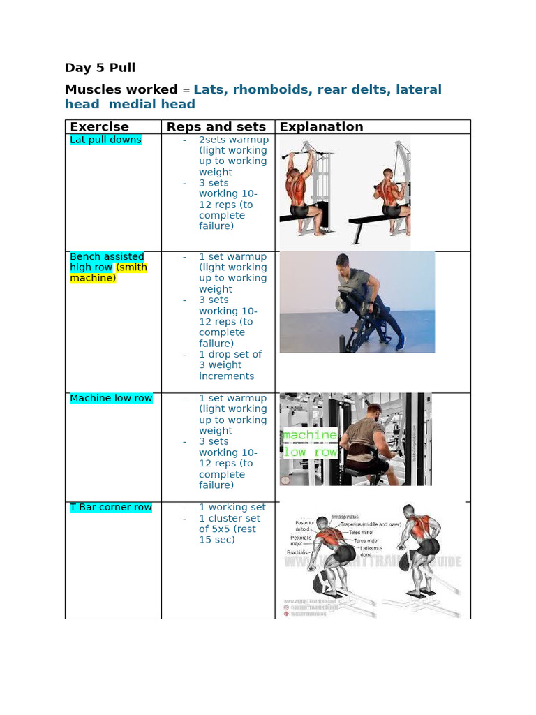 Lats, Rhomboids, Rear Delts, Lateral Head Medial Head: Day 5 Pull ...
