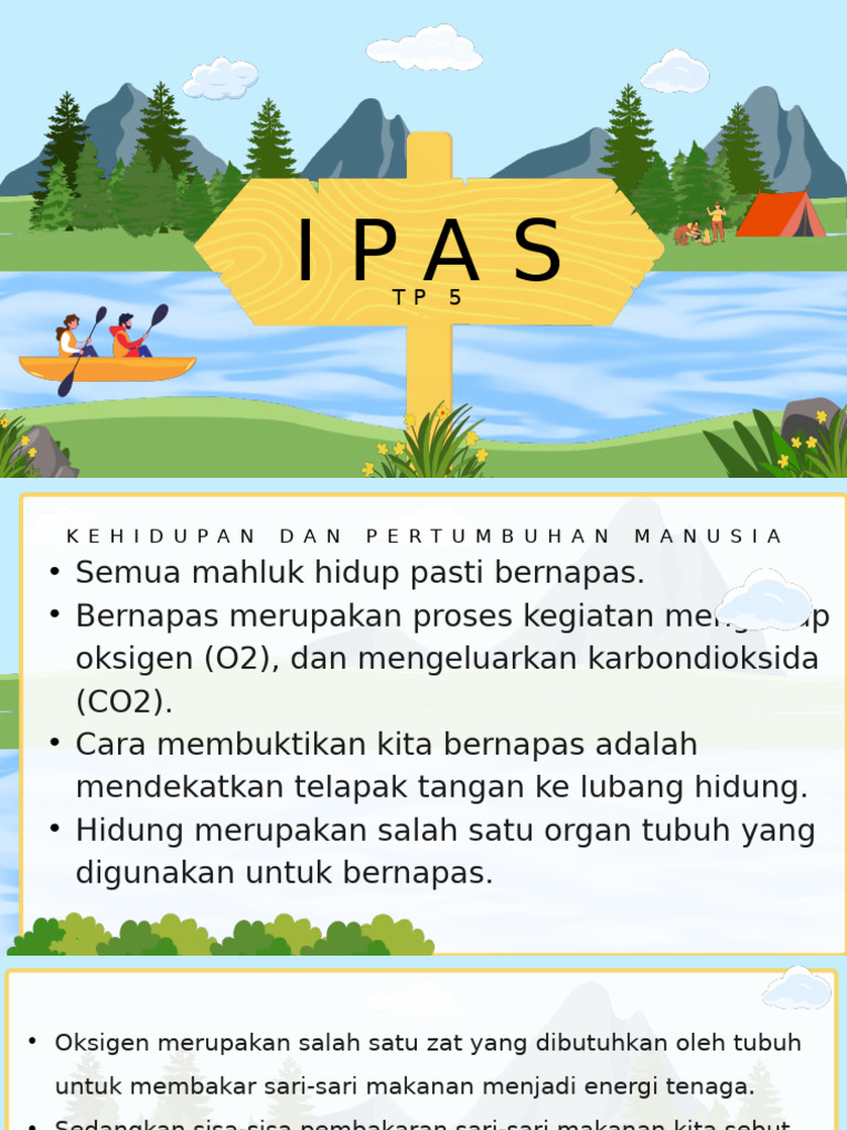 TP 2 Ipas Pernapasan | PDF