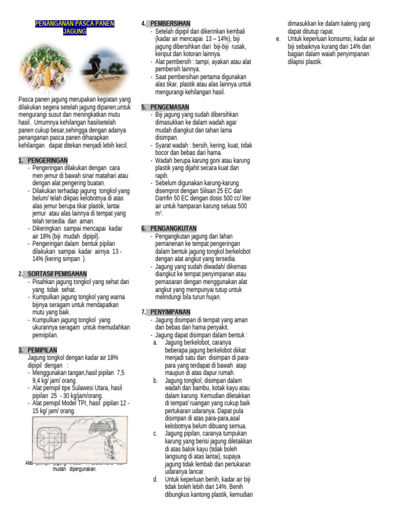 Penanganan Pasca Panen Jagung | PDF