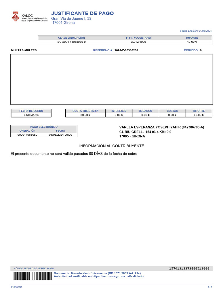 Rec 3000 | PDF