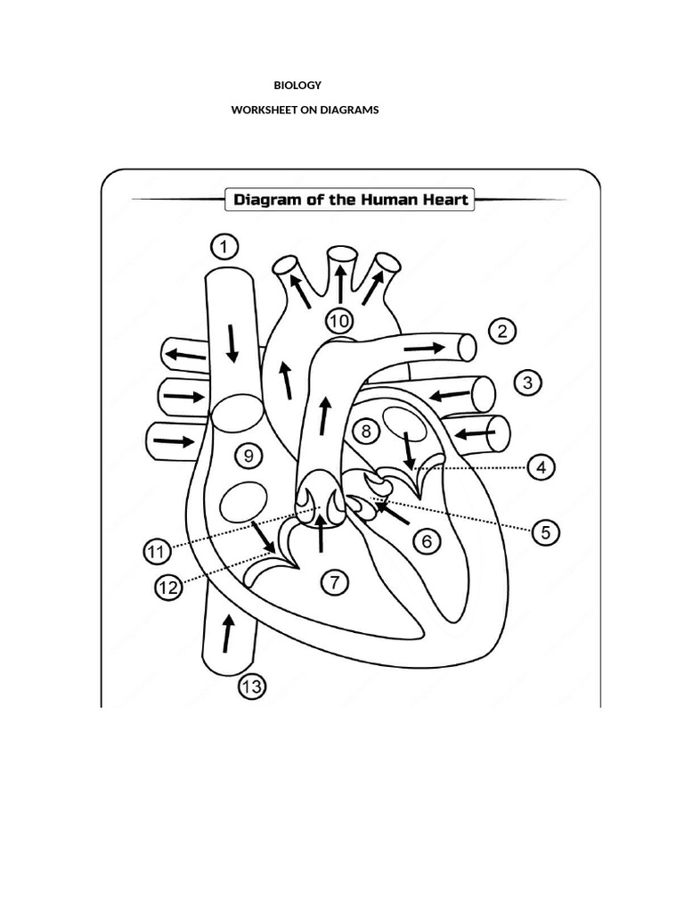 BIOLOGY Labelling Diagrams | PDF
