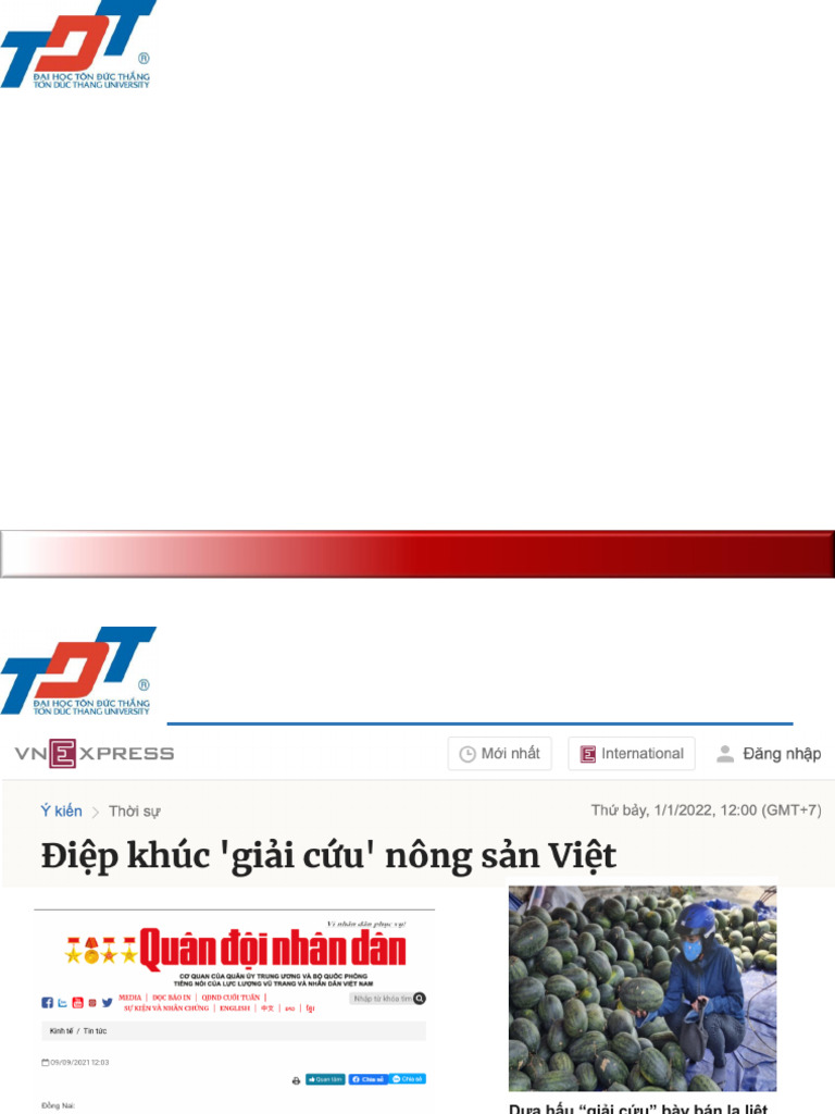 Chapter 8-Cobweb Model | PDF