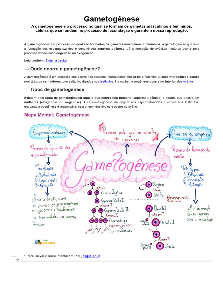 Gametogênese - Onde Ocorre, Tipos e Mapa Mental - Brasil Escola | PDF ...