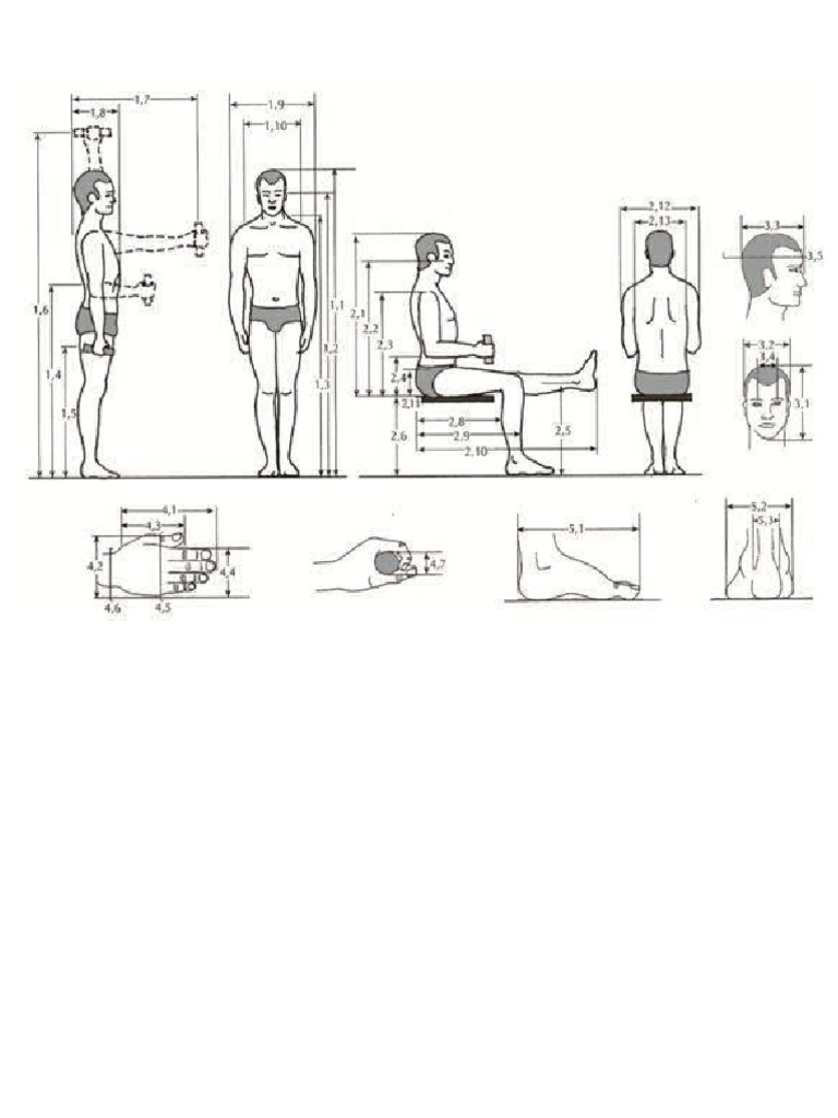 Antropometria Pdf