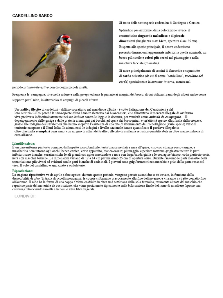 Cardellino Sardo - SardegnaForeste | PDF