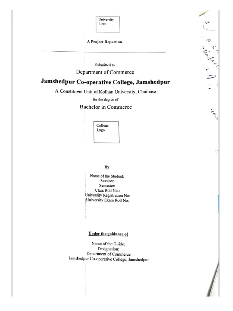 Ecommerce Project Semester 6 | PDF | E Commerce | Business