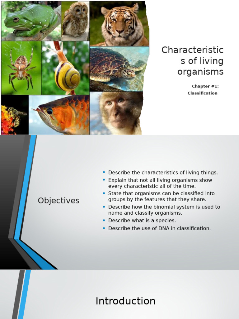 Characteristics of Living Organisms 1 | PDF