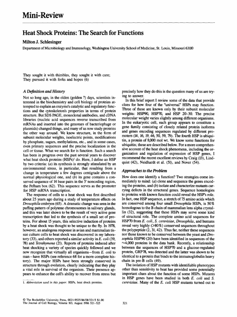 Heat Shock Protein | PDF