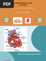 Human Circulatory System | PDF | Blood Vessel | Heart